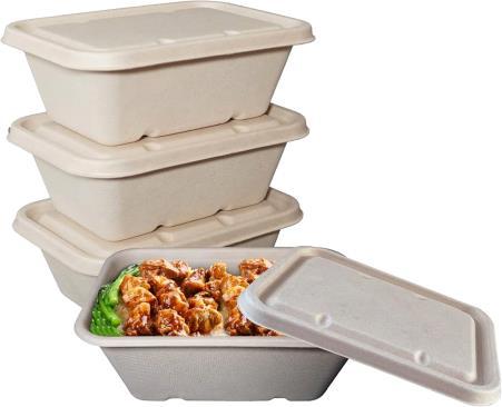 Rectangular Sugarcane Container - 8 to 32oz (250 - 1000gms) - Square/ Rectangle :: Vaka Overseas ...